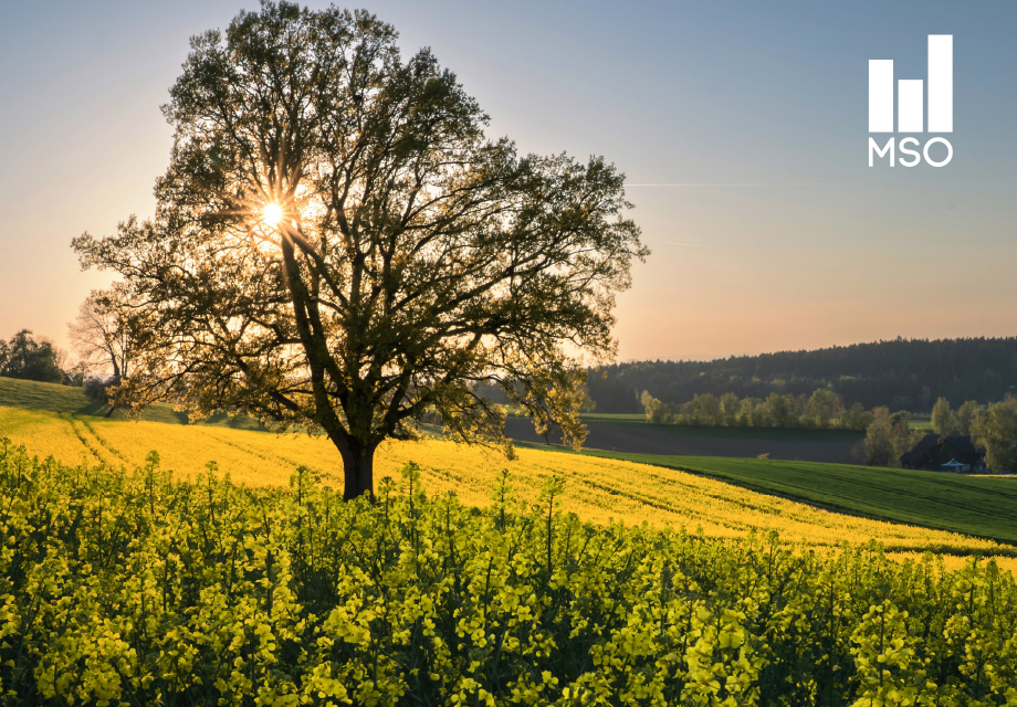 Svensk sommar – nationaldagskonsert | Malmö Live